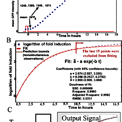 The Double Exponential Law