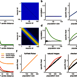 Random subsampling leads to criticality-inducing correlations.