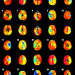 An overview of the automatically generated TSP and TTP maps for all 20 ...