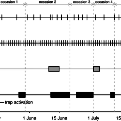 Timeline of data collection.