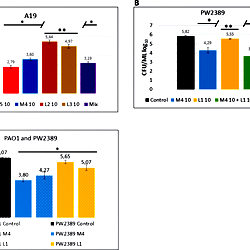 Pyocin activity against biofilms.