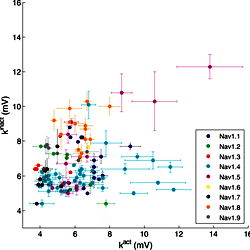Correlation between kact and kinact