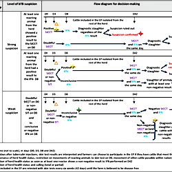 Diagrams illustrating the management procedures in the experimental ...