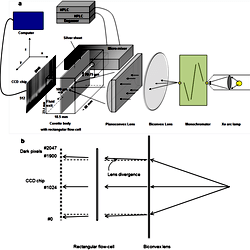Schematic drawing of the optical components.
