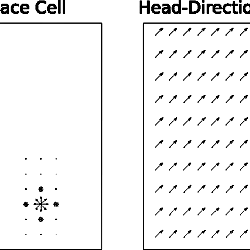 Spatial and Orientation Tuning of an Idealized Grid Cell, Place Cell ...