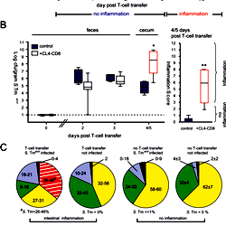 Gut Inflammation in the VILLIN-HACL4-CD8 Model Boosts S. Tmavir ...