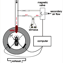 Walking simulator setup.