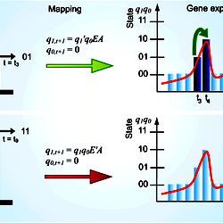 Construction of sequential logic mapping between dynamic transactivity ...