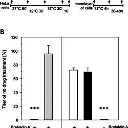 The Neutral Red Infectious Center Assay