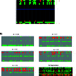 CBS Algorithm Combined with the MSA Approach