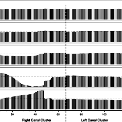 Firing Rate Snapshots, Representing the Instantaneous System Activity ...