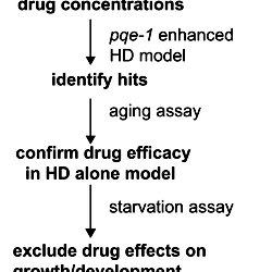 Schematic Diagram of Compound Testing Strategy.