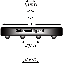 Lowest elastic mode model.