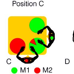 Schematic top views of the task environment for positions A–C, and ...