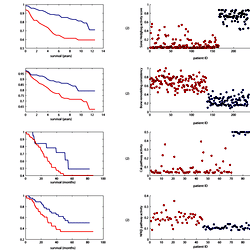 Examples of the stratification of survival plots and their immediate ...