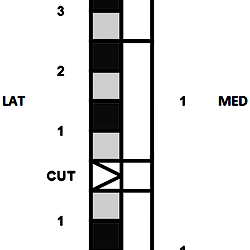 Sample collection schematic.