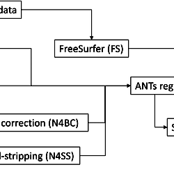 Illustration of the pre-processing pipeline.