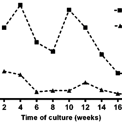 Analysis of the stability of antibody expression over time by stable ...