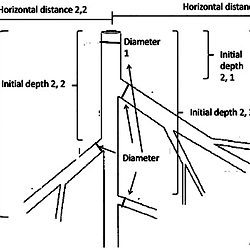 Diagram of root sampling.