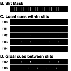Layout of the standard stimulus.