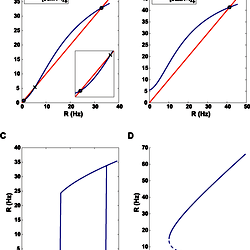 Steady State Analysis