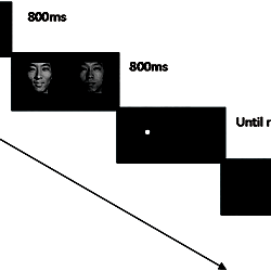 Probe detection task procedure (example of P-O affective pairs, with ...