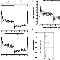 Adaptive Modulation of Spike Rate