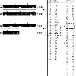 Module Maps and Module Rearrangements