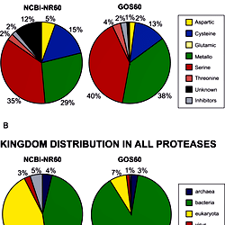 Content of Protease Types in NCBI-nr and GOS, and Kingdom Distribution ...