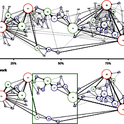 Module Networks of sof