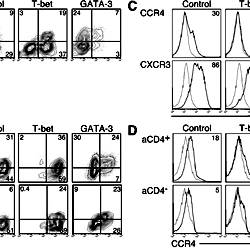 Functional profile of NKT cell subsets ectopically expressing T-bet or ...