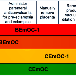 Signal functions and classifications used to identify basic and ...