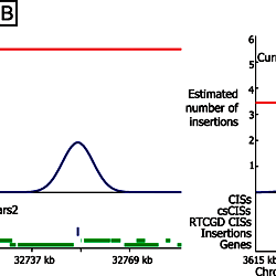 Example of Novel CIS and Background Corrected CIS