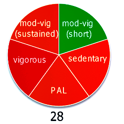 A possible example of how physical activity profiles might look in the ...