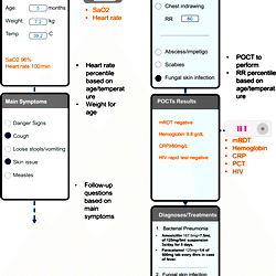 Schematic representation of the e-POCT algorithm.
