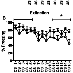 Fear conditioning and extinction to cue (A and B) and context (C).