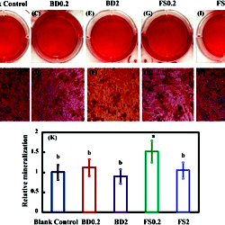 The effects of iRoot FS on mineral synthesis.