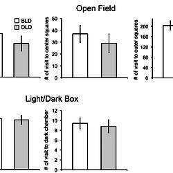 Effects of daytime light intensity on anxiety-like behaviors assessed ...
