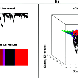 Visual Representations of the Gene Co-Expression Network