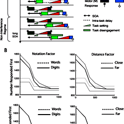 A Minimal Model for Dual-Task Response Times: Incorporating Task ...