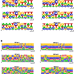 Sequence Logos