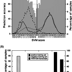 Distribution and Reliability of SVM Scores