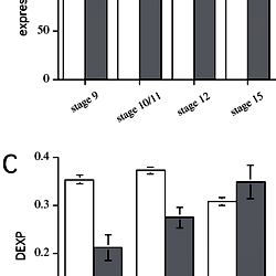 Median Expression and DEXP Values for Different Developmental Stages of Root and Flower