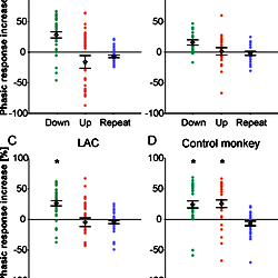 Distributions of phasic response increases in three regions of the ...