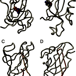 Examples of Observed Structural Anomalies