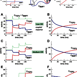Control of Signal Integration