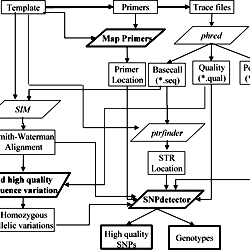 Schematic Diagram of the Principal Steps in the Analysis of Sequencing ...