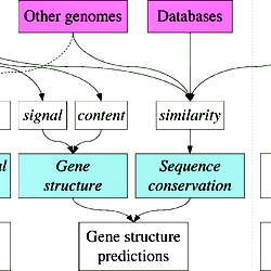 A Third Basic Concept