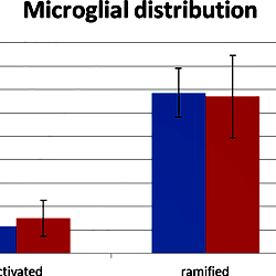 Quantification of activated and ramified microglia in the olfactory ...