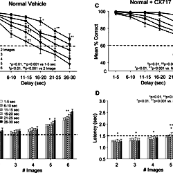 DMS Performance and Match Response Latency under Normal Vehicle and ...